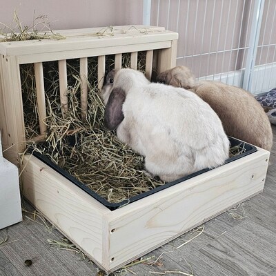 Rabbit Hay Feeder 3 in 1 Hay & Food Bowls With Litter Tray - Etsy UK
