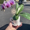 Suc-cess You Did It Custom Graduation Grad Plant Stick Gift Ideas ...