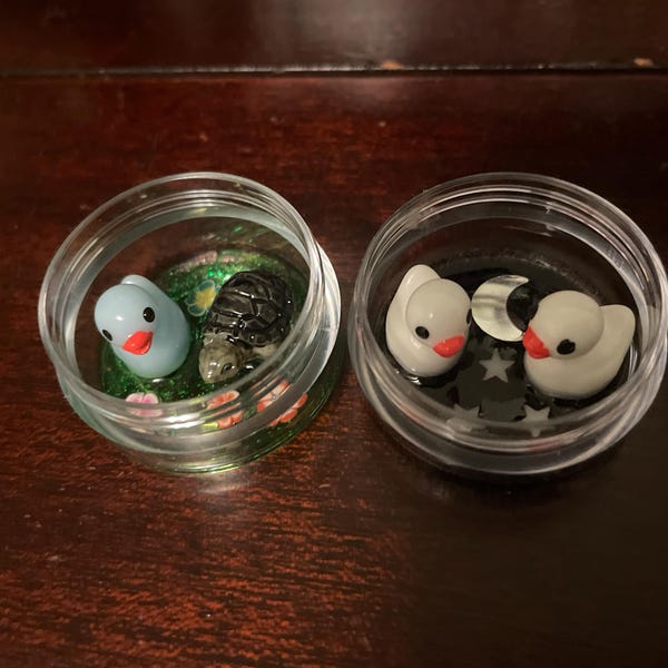 Super Cute Mini Desk Pet Terrariums (customizable) - Etsy