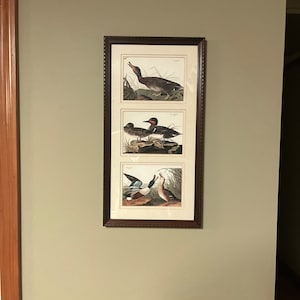 Antique French Wall Paper Print Set No. 1, Reproduction, Prints, Giclee ...