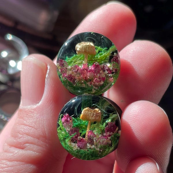 Real Moss Transparent Mushroom Plugs, Nature Tunnels, Real Plant ...