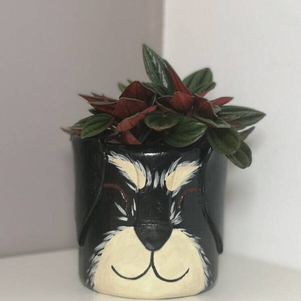 Handmade Sun Pot, Solar Pot, Astrology Sunshine Plant Pot, Bespoke Sun ...