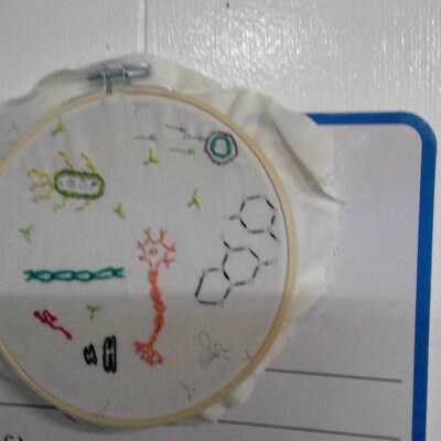 Biology Sampler Embroidery Pattern - Etsy