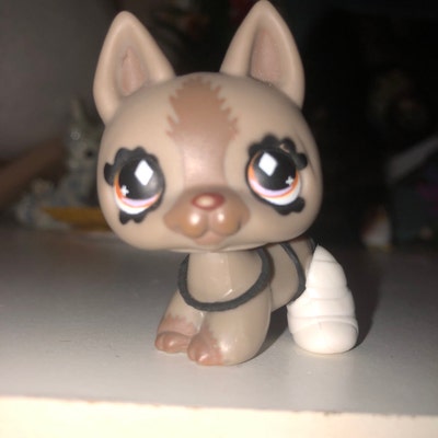 Authentic Magnet LPS Pick A Puppy Choose a Retired - Etsy