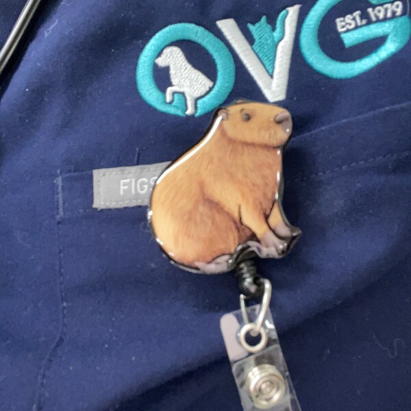 Capybara Badge Reel ID Holder: Gift for Nurses, CNA , Vet Techs ...