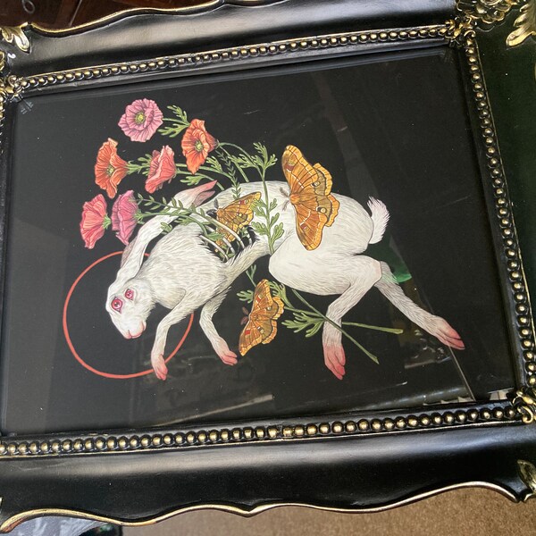 White Rabbit With Poppy Flowers- Giclee Print From Original Hand ...