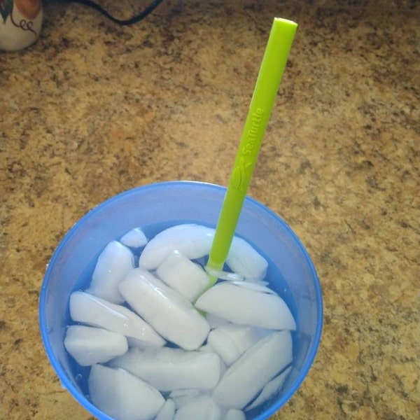 Sea Turtle Plant-based Bristles Bamboo Toothbrush - Pack of 4 - Soft ...