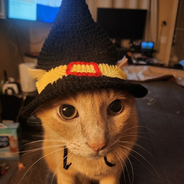 Witch Hat for Cat, Halloween Pet Costume, Crocheted Witch Hat for ...