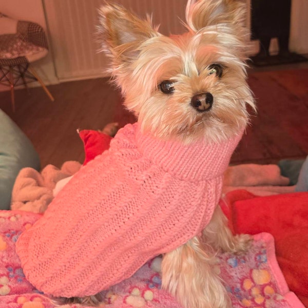 Embroidered Cookie Monster Pale Blue Frill Ankle Socks, Trendy, Cute ...