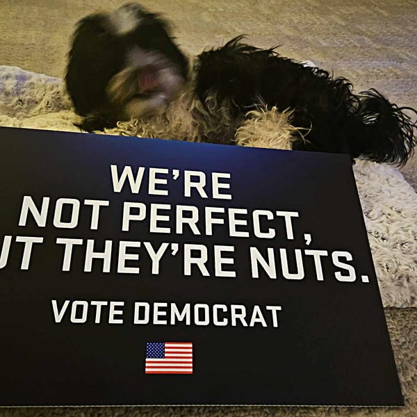 Democrat Never Forget January 6 Yard Sign - Etsy