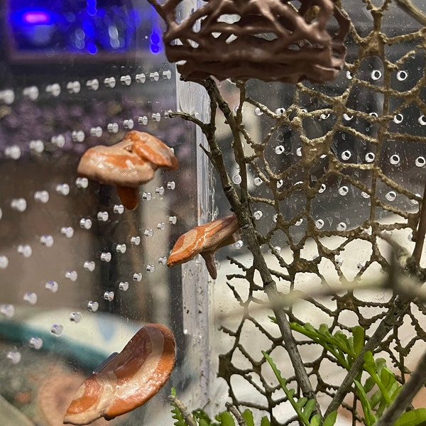 3D Printed Hollow Log Platform and Hide Jumping Spider Decor - Etsy