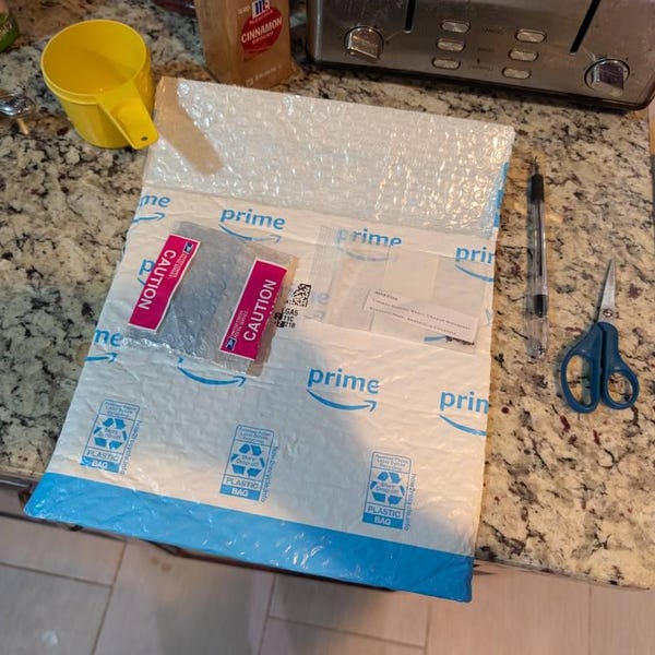 6 Blue Dune Lyme Sea Grass Starter Plants (organically Grown Leymus ...