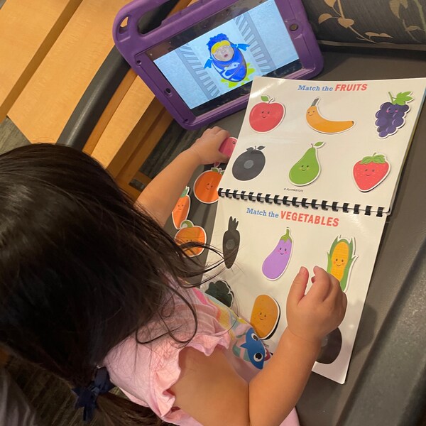 Toddler Busy Book, Fully Assembled, First Learning Binder, Fun Quiet ...