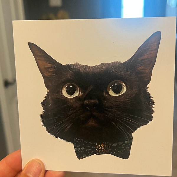 Custom Face Sticker, Stickers From Your Photo Portrait - Die Cut ...