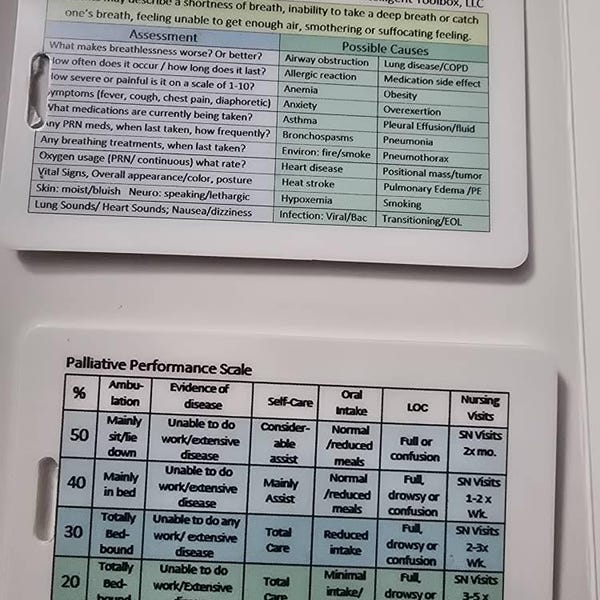 Hospice Nursing Badge Buddy: PPS & FAST Dementia Scales - Etsy