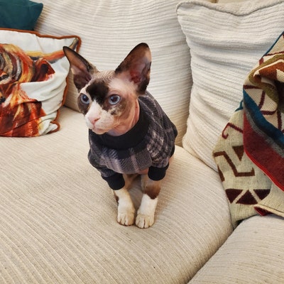 Sphynx Cat Clothes Sphynx Jumper Sphynx Sweater Sphynx - Etsy