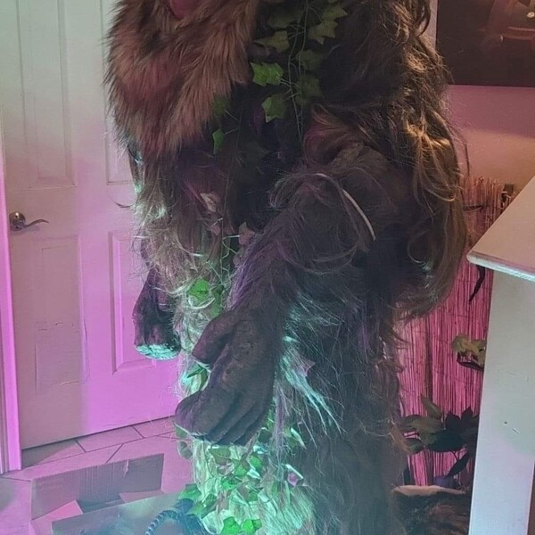 Gourdie 3/4 Latex Pumpkin Mask - Etsy