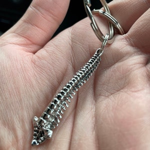 Spine Key Chain - Etsy