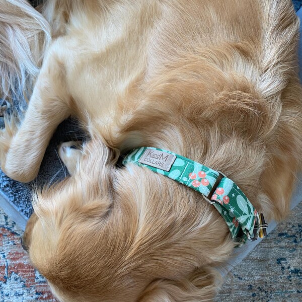 Orange and White Checkered Dog Collar, Martingale or Flat Collar, Dog ...