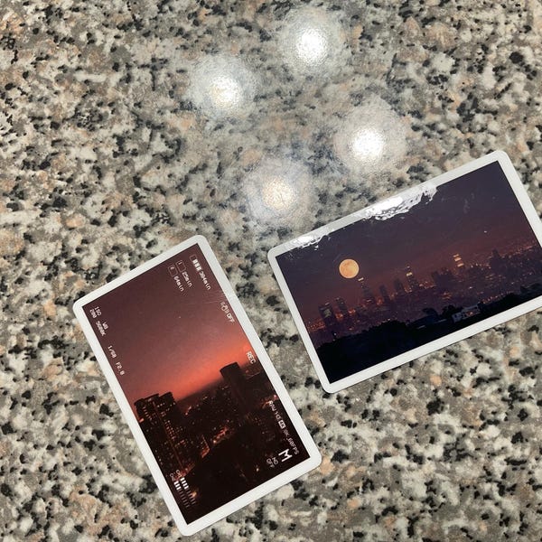 Shark Shirt, Cottagecore Shirt, Shark Species Tee, Great White ...