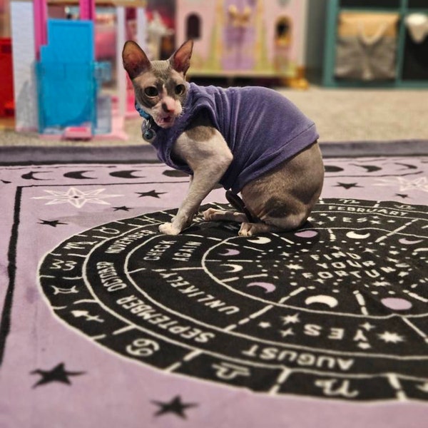 Sphynx Cat Shirt Fleece Sphynx Cat Clothes Hairless Cat Clothes Sphynx ...
