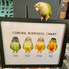 Conure Ripeness Chart Poster - Etsy