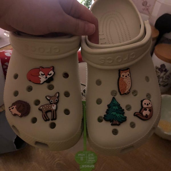 Capybara Clog Accessory - Capybara Shoe Charm - Carpincho Clog Clips ...