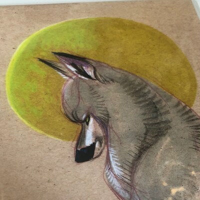 Art Book the Art of Animal Character Design 2nd Edition David Colman ...