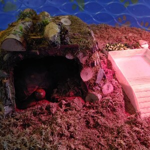 XL Large Reptile Hide/cave - Etsy
