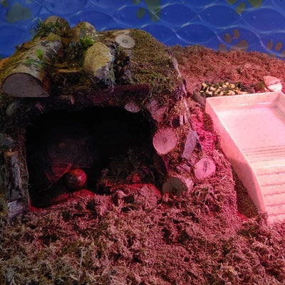 XL Large Reptile Hide/cave - Etsy