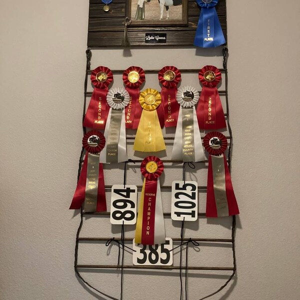 Personalized Show Ribbon Display - Etsy