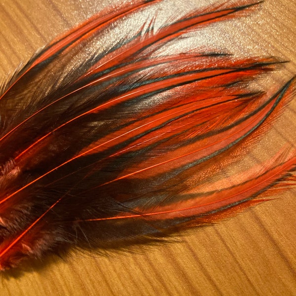 Red Laced Pointy Feathers, 10 Pieces - Red Dyed BLW Laced Long Rooster ...