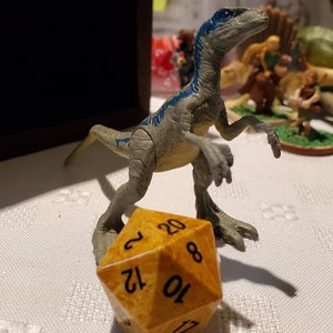 Coral Fossil Gemstone Polyhedral Dice Set: Hand Carved With Quality ...