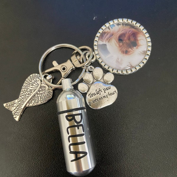 Pet Cremation Key Chain Photo Memorial Key Ring Pet Hair Key Ring for ...