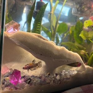 Corner Aquarium Terrarium Cave Hideout – Decorative Shelter for Fish ...