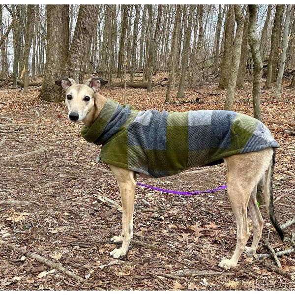 Greyhound Coat - Plaid Dog Coat - Dog Jacket - Greyhound Clothing ...