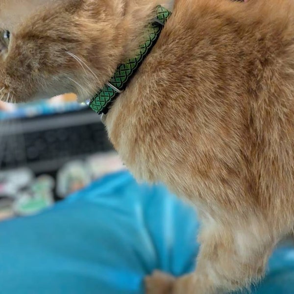 AGILITY Collar the Blues - Etsy