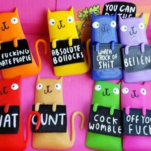 Absolute Bollocks Fridge Magnet Sweary Rainbow Cats Offensive Gift ...