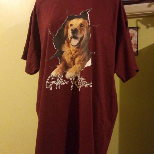 DMC Color Charts With 456 Colors and RGB Codes Digital Download ...