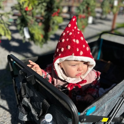 Mushroom Hat, Wool Pixie Hat, Toadstool Hat, Red Pointy Winter Hat, Whimsical Mushroom, Cotton ...