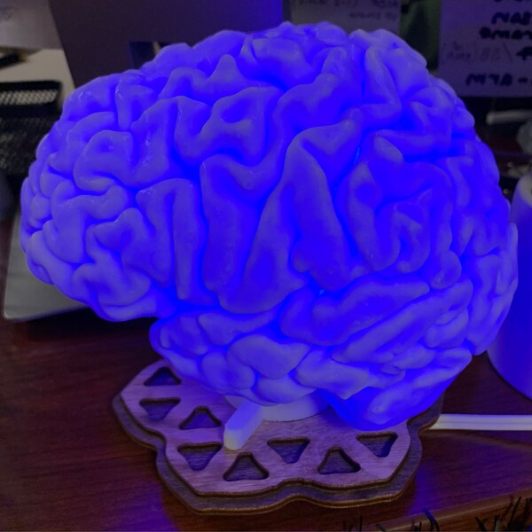Human Brain - 3D Printed Accent Lamp, Wall Hanging or Table Top Novelty ...
