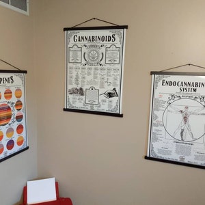 18 X 24 Inch Cannabinoids Cannabis Education Poster - Etsy