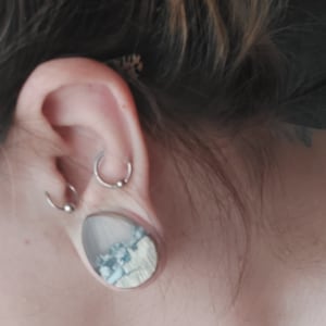 Wood Plugs, Wood Gauges, Plugs and Tunnels, Resin Plugs, Ear Gauges ...