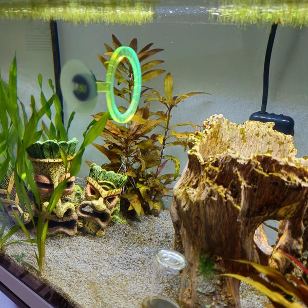 Finnex Stingray Original LED Light Riser, Attractive Stable Elevated ...