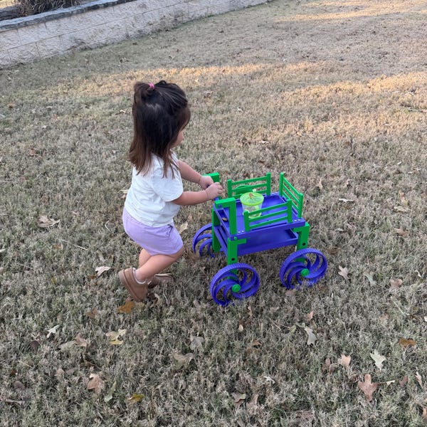 All Terrain Toddler Push Cart, Personalized Kids Push Cart, the ...