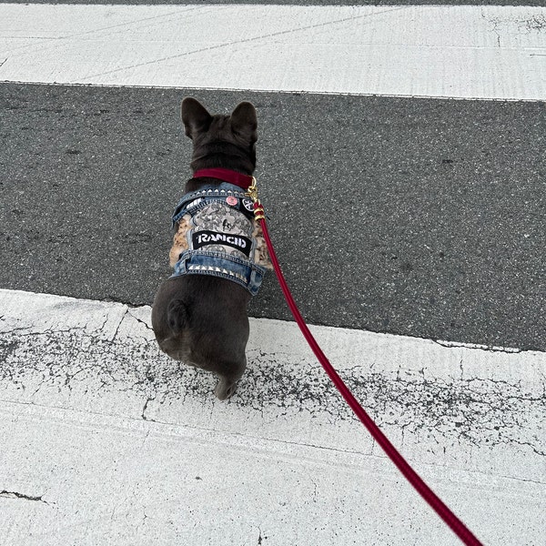 Large Punk Rock Dog Jacket/battle Vest Featuring Cute as Hell Baphomet ...