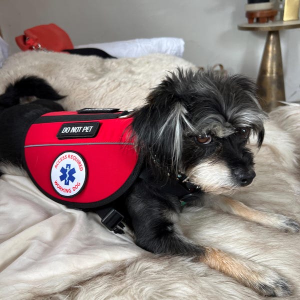 Emotional Support Animal E.S.A. Dog Harness Reflective Assistance Vest ...