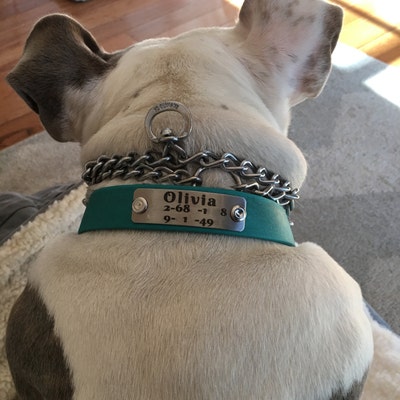 Dog Collar Name Plate, Rivet On, Large, 316 Stainless Steel Name Plate ...