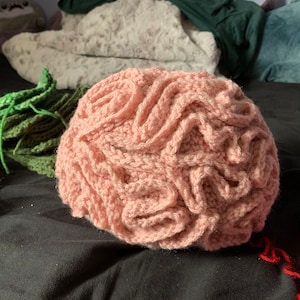 Anatomical Brain Crochet Pattern PATTERN ONLY Instant DOWNLOAD ...