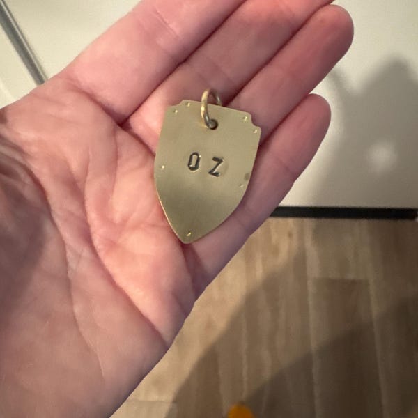 Personalized Shield of Knight Dog Tag ID for Collar With Stamped Front ...